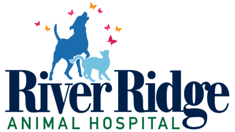 Best Vet Hospital In Dixon, IL | River Ridge Animal Hospital